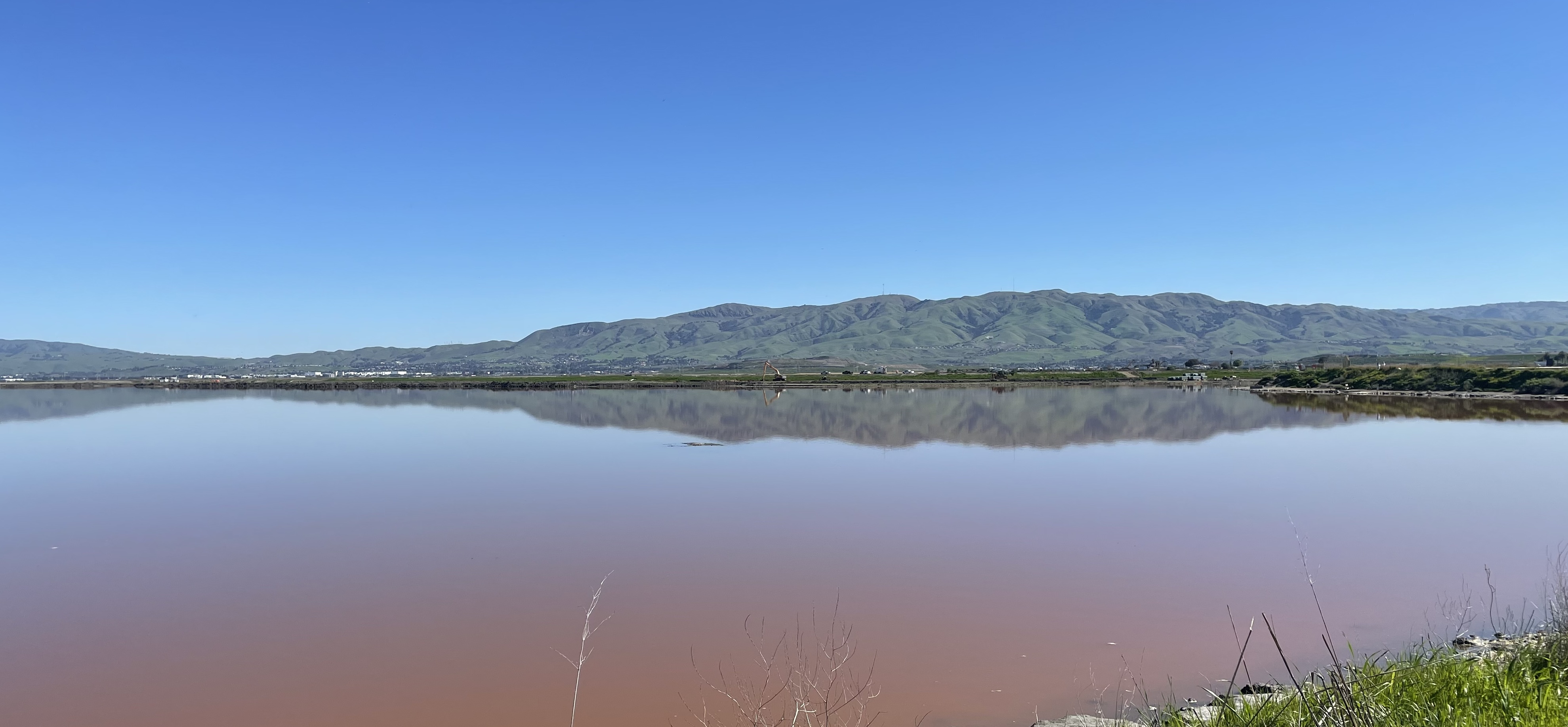Alviso Marina County Park – San Jose’s Salty Pink Pond – World Class Hugs