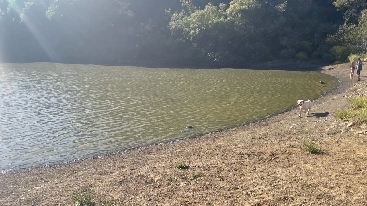 Water Dog Lake Park in Belmont, California – World Class Hugs