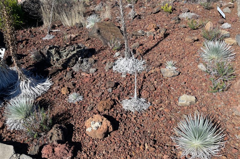 The Volcanoes of Hawaii, Part 1: Haleakala National Park – World Class Hugs