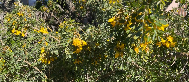 The Volcanoes of Hawaii, Part 1: Haleakala National Park – World Class Hugs